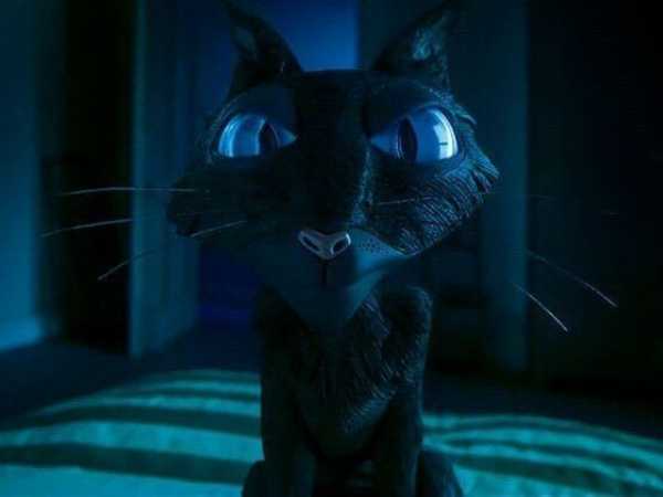 SIFFRAFF Selects: Movie Cats